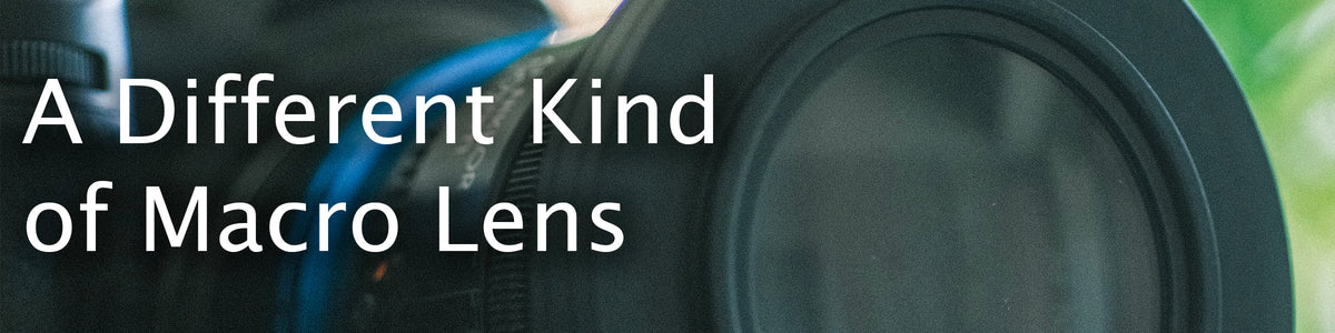 A Different Kind of Macro Lens – Fotodiox, Inc. USA
